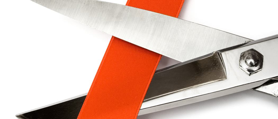 Data Corner: Cutting research grant bureaucracy: who is trying what ...